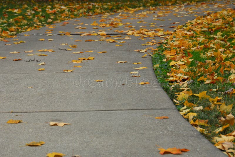 Donde la acera termina foto de archivo. Imagen de fondos - 1490754