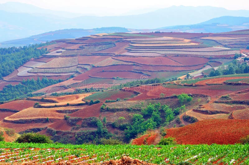Dongchuan-Rot-Land stockfoto. Bild von asien, masse, landschaft - 42087012