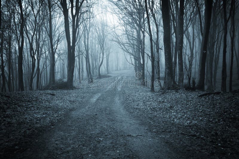 Donker Bos in De Recente Herfst Stock Foto - Image of neiging, daling ...