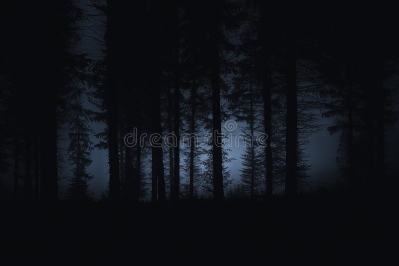Donker en engstig bos stock foto. Image of verschrikking - 83654304