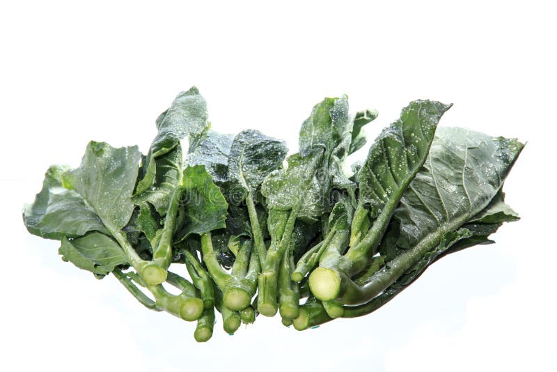 Groene blad verse groenten stock foto. Afbeelding bestaande uit naughty ...