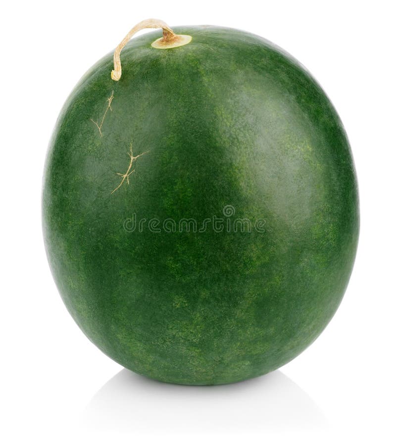 Groene Watermeloen Op Gras of Het Groeien Watermeloen in Tuin Stock ...