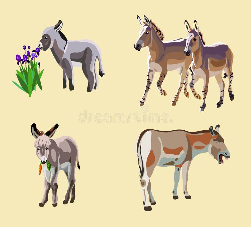 Stylized Donkey Stock Illustrations – 268 Stylized Donkey Stock ...