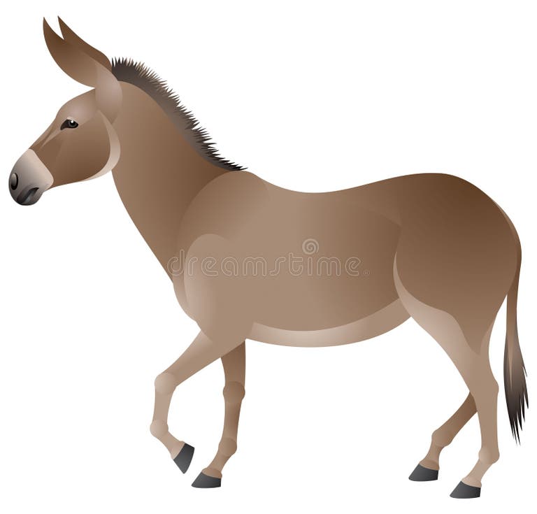 Picture Donkey Stock Illustrations – 31,056 Picture Donkey Stock ...