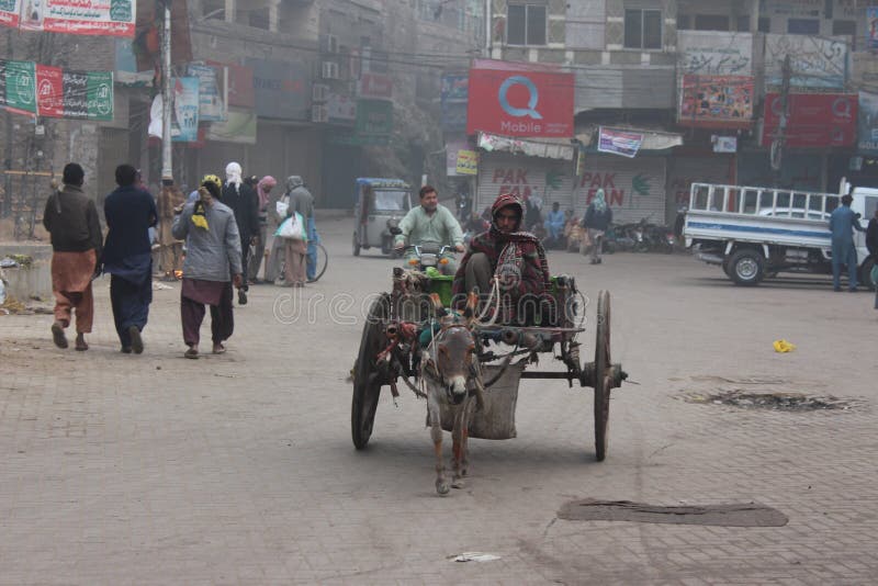 Donkey cart editorial photo. Image of hours, pakistan - 90553846