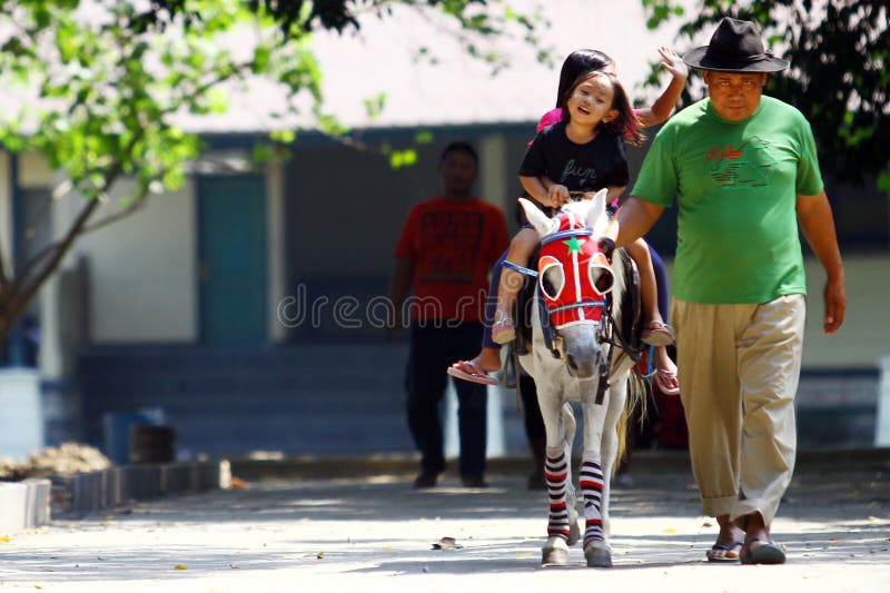 A donkey editorial stock image. Image of scary, donkey - 39423254