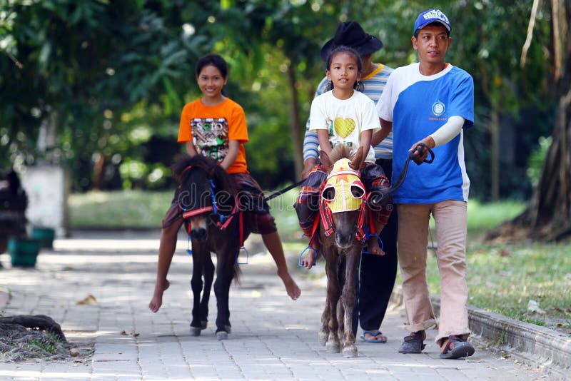 A donkey editorial photo. Image of haunting, indonesia - 39423586