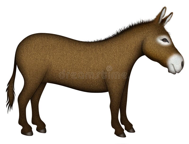Donkey stock illustration. Illustration of livestock - 51116904