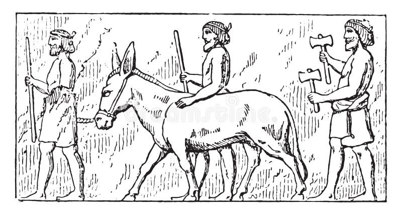 Donkey Drivers, Vintage Engraving Stock Photo - Image of natural ...