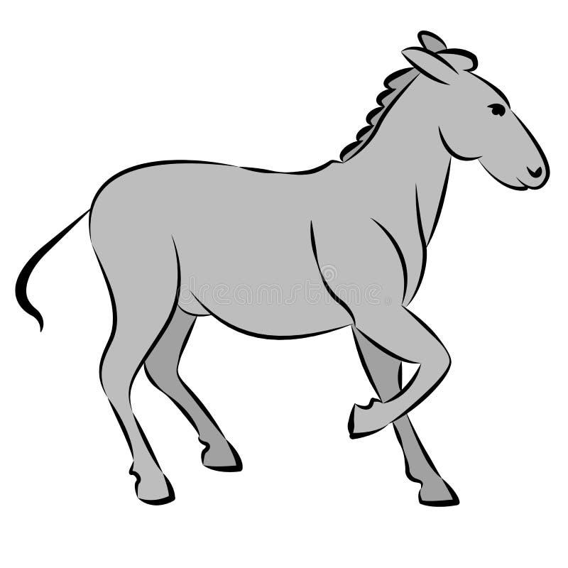 Donkey Gray Line Drawing Vector Side View Stock Vector - Illustration ...