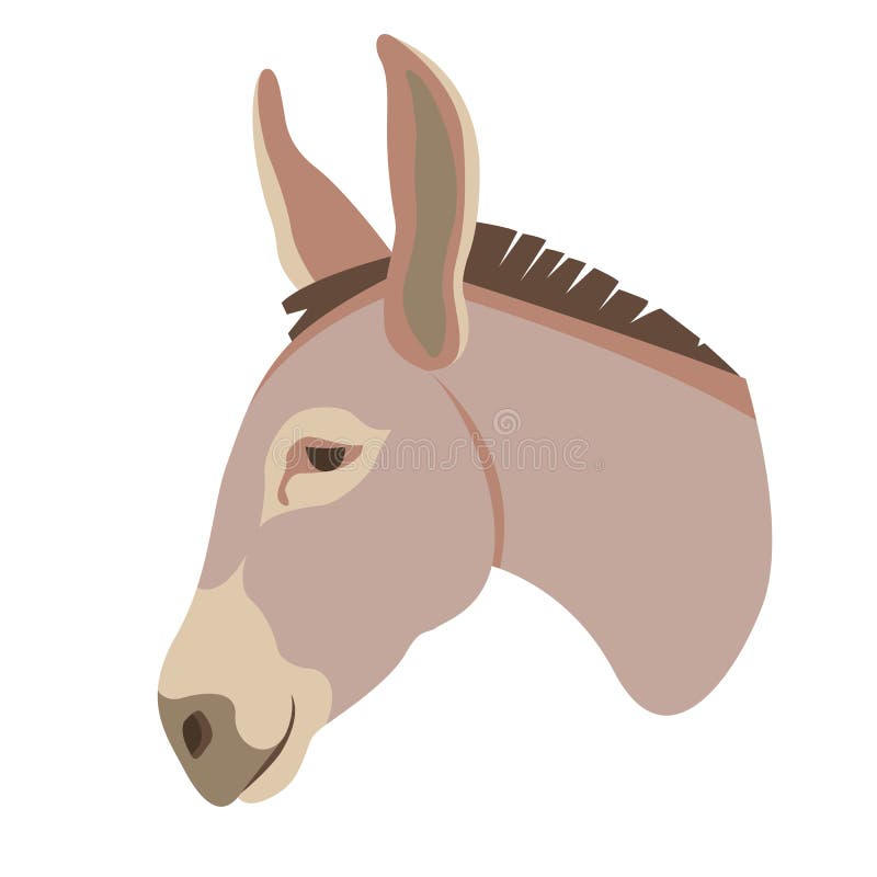 Donkey Head Face Vector Style Flat Stock Vector - Illustration of ...