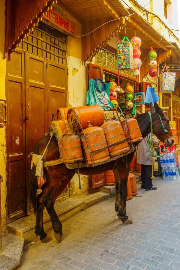 A Loaded Donkey Against the Backdrop of a Beautiful Rocky Mountainside ...