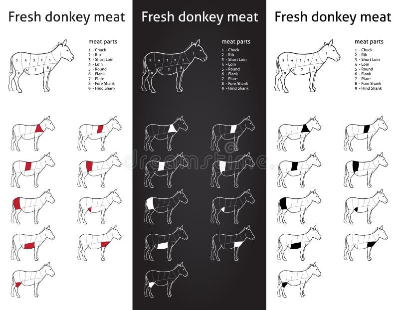 Donkey Meat Cuts Scheme Set Stock Vector - Illustration of cuisine ...