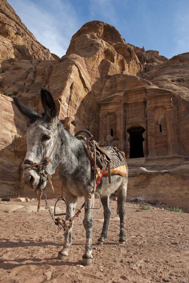 Donkey Near Ancient Tomb in Petra Stock Photo - Image of remaining ...