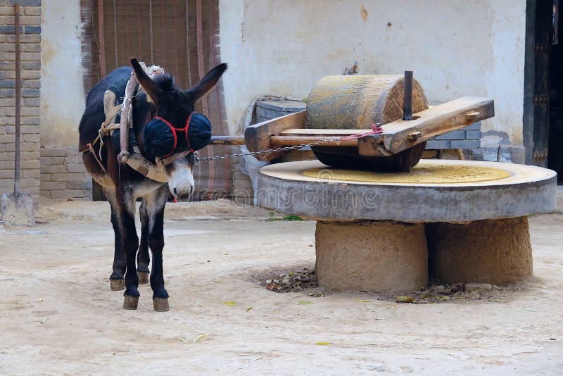 Donkey pull millstone stock image. Image of stone, millstone - 135363215