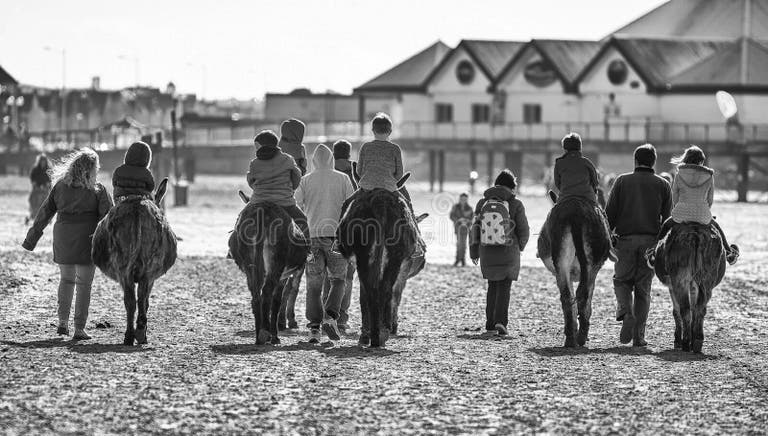 Donkey Rides editorial stock image. Image of giddup, somerset - 50832229