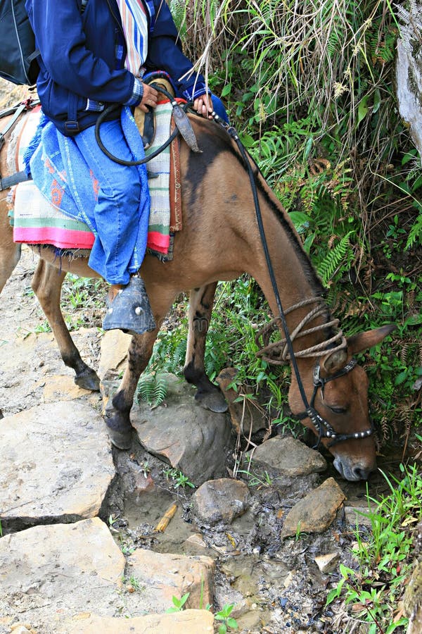 Rider Stops To Enjoy Bali Island Resort, Indonesia. Stock Photo - Image ...