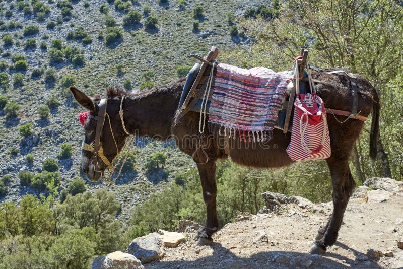 Greece. the Island of Crete Stock Image - Image of cave, rocks: 120097327