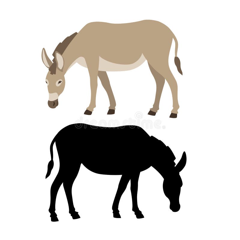 Donkey Vector Illustration Flat Stock Vector - Illustration of bear ...