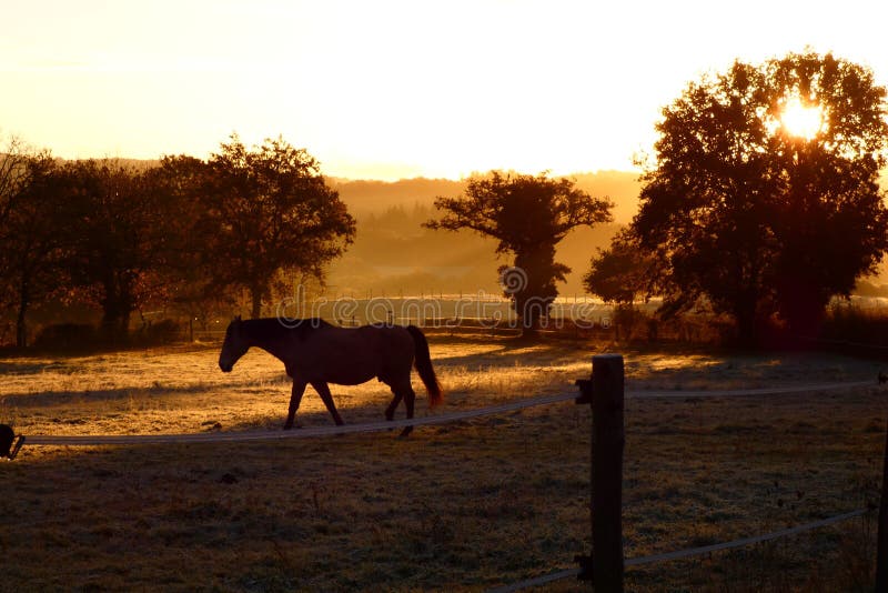 Dawn in the countryside stock photo. Image of agriculture - 265038422