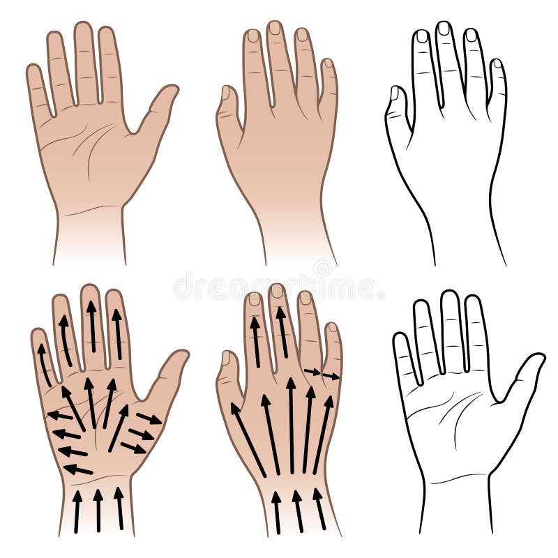 Donna, Mani Dell'uomo Con Il Massaggio Delle Linee Illustrazione ...