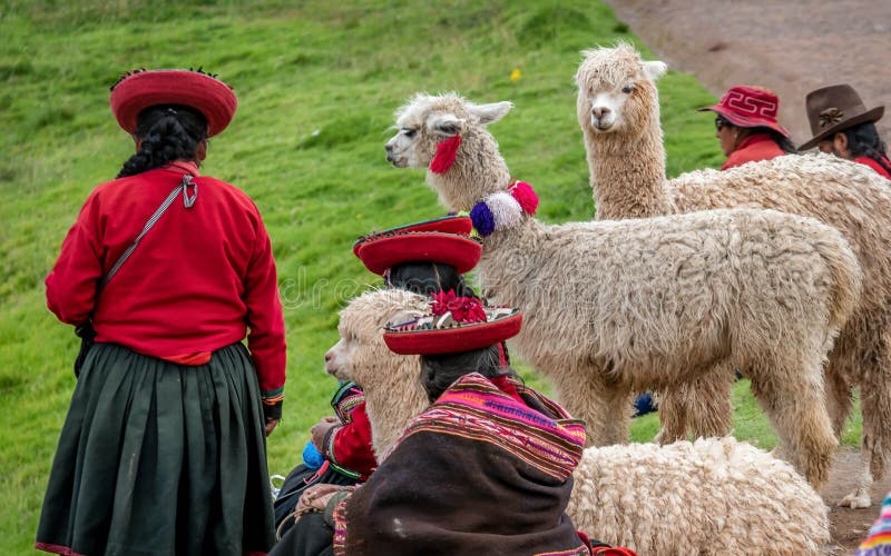Donne Peruviane Con Alpaga Vicino a Cusco, Perù Fotografia Editoriale ...