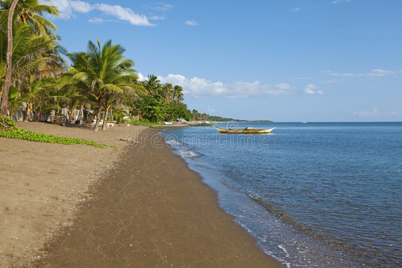 Donsol, the Whale Shark Capital Stock Image - Image of donsol, dawn ...