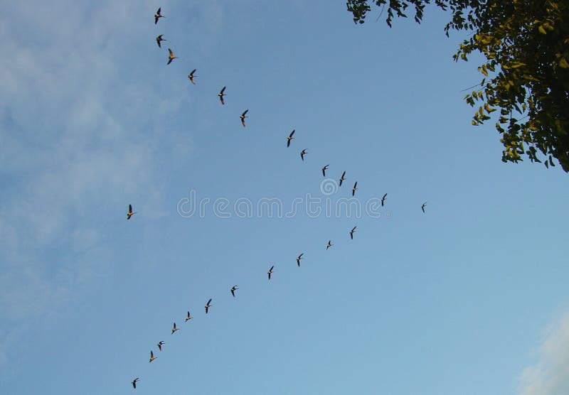 Dont fall behind stock photo. Image of winner, manage, blue - 29980