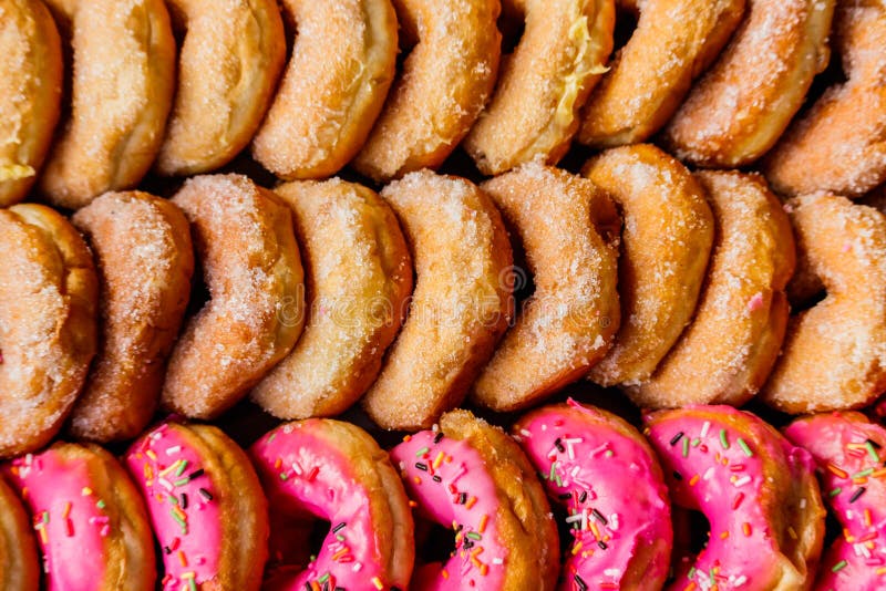 Donuts Arranged in a Row on the Tray. Stock Image - Image of sweet ...