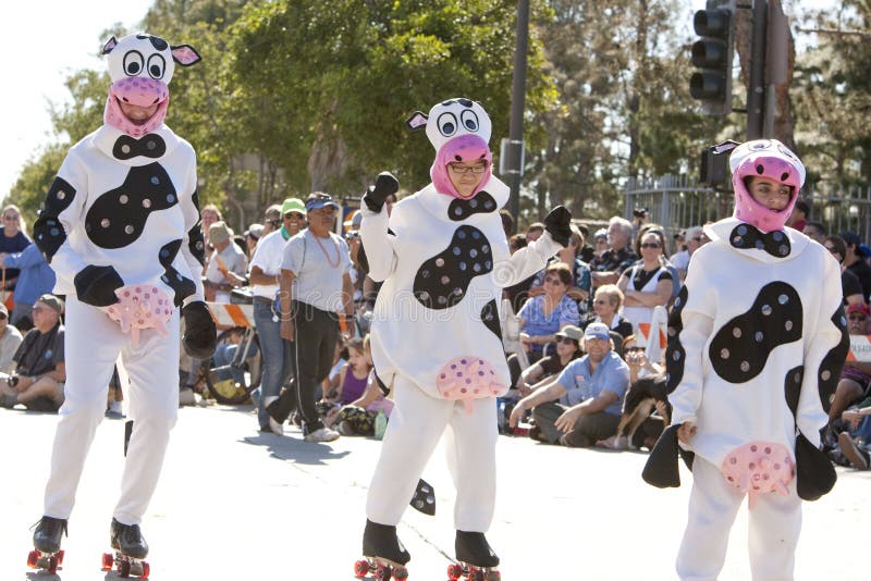 Doo Dah Skating Cows editorial image. Image of people - 9054115