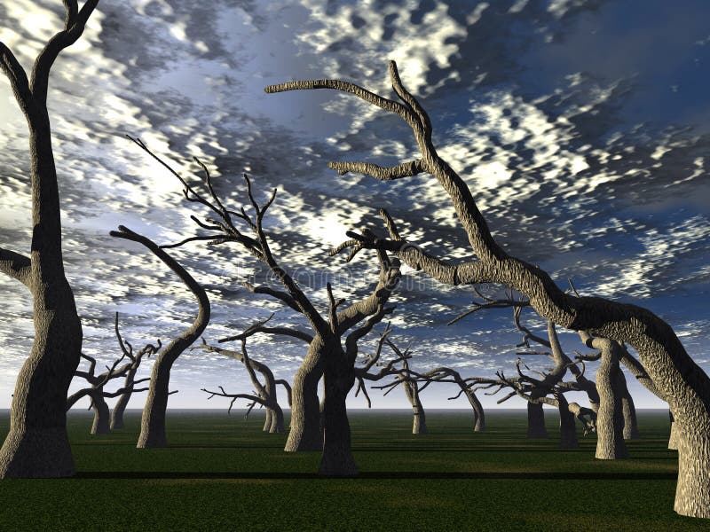 Dood Bos Met Oude Bomen in Duitsland. Door Klimaatverandering Droogte ...