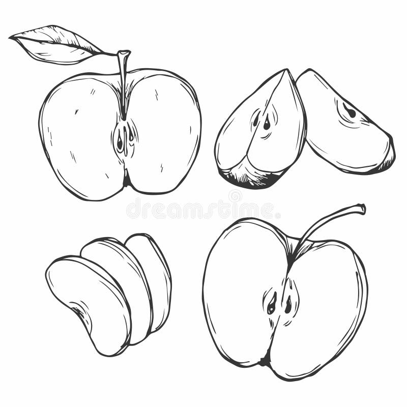 Doodle Apple Ink Set Sketch Isolated on White Background Stock Vector ...