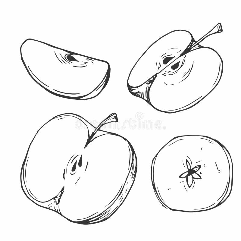 Doodle Apple Ink Set Sketch Isolated on White Background Stock Vector ...