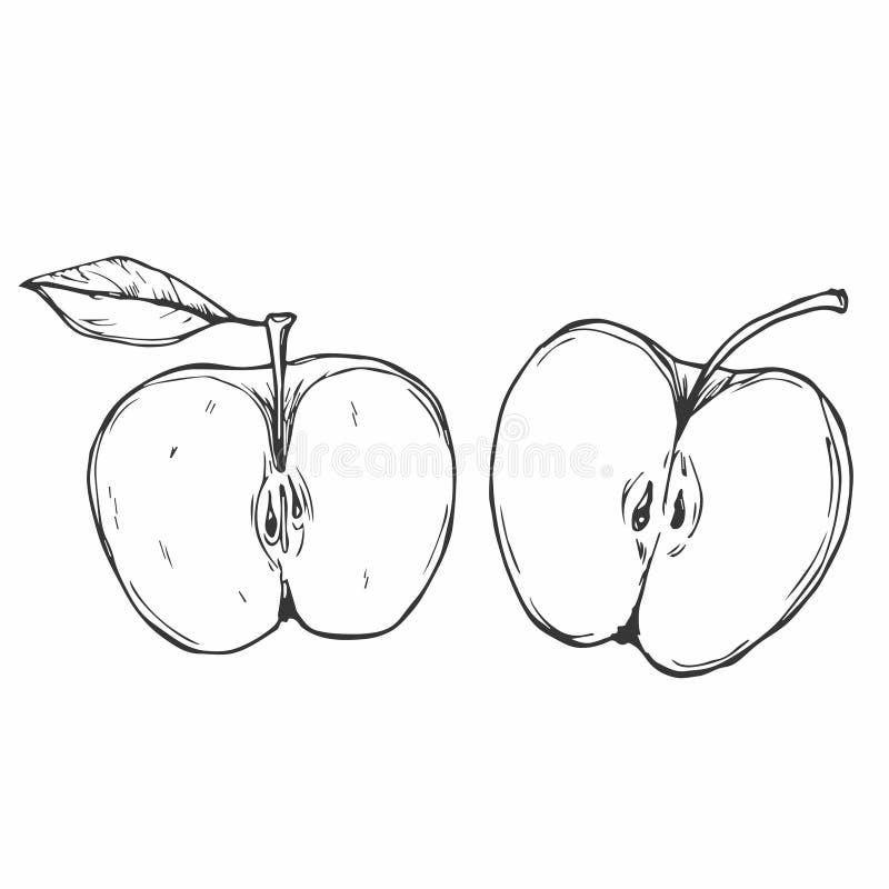 Doodle Apple Ink Set Sketch Isolated on White Background Stock Vector ...
