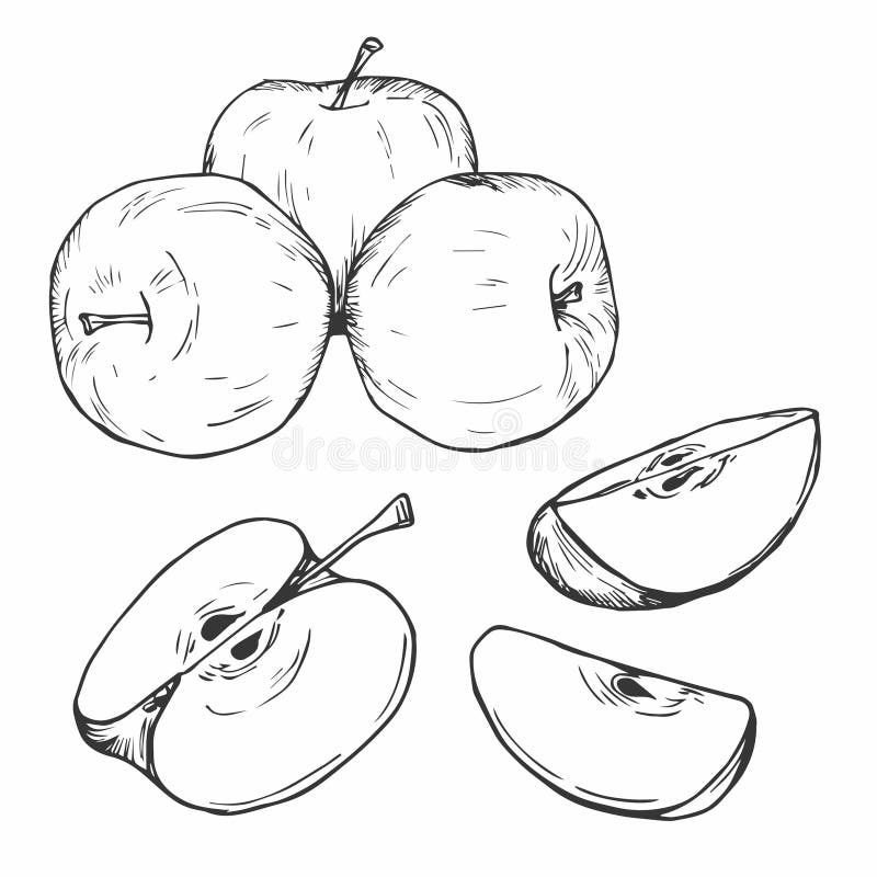 Doodle Apple Ink Set Sketch Isolated on White Background Stock Vector ...