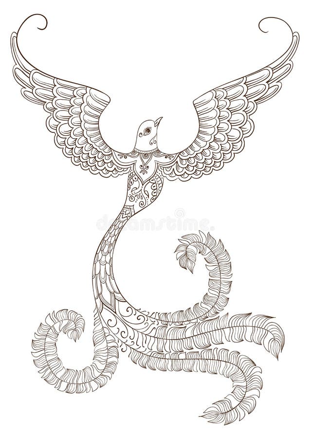 Doodle bird brown outline stock vector. Illustration of curl - 75795507