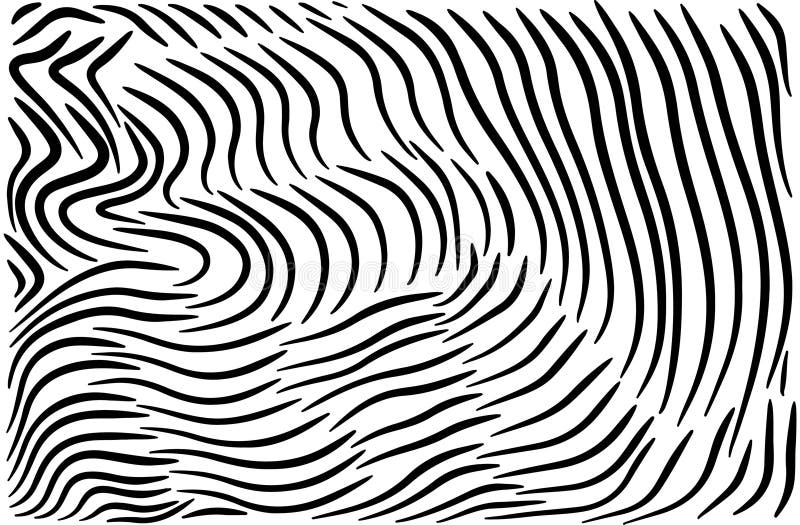 Doodle Black Lines on White. Abstract Geometric Vector Background ...