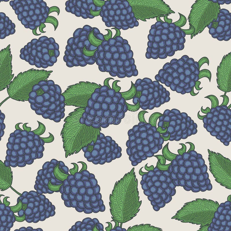 Blackberry Seamless Pattern. Vector Doodle Berry Design for Wallpaper ...