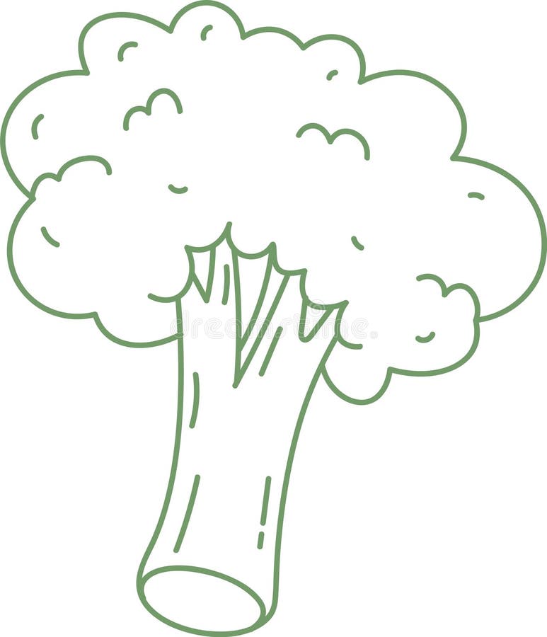 Doodle Broccoli ilustración del vector. Ilustración de fruta - 370123758