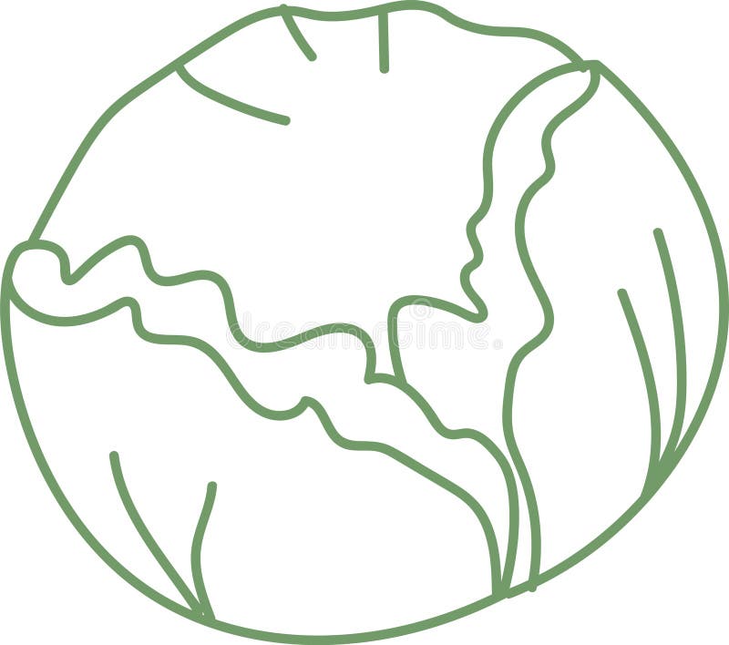 Doodle Cabbage Vegetable stock illustration. Illustration of collection - 370133681