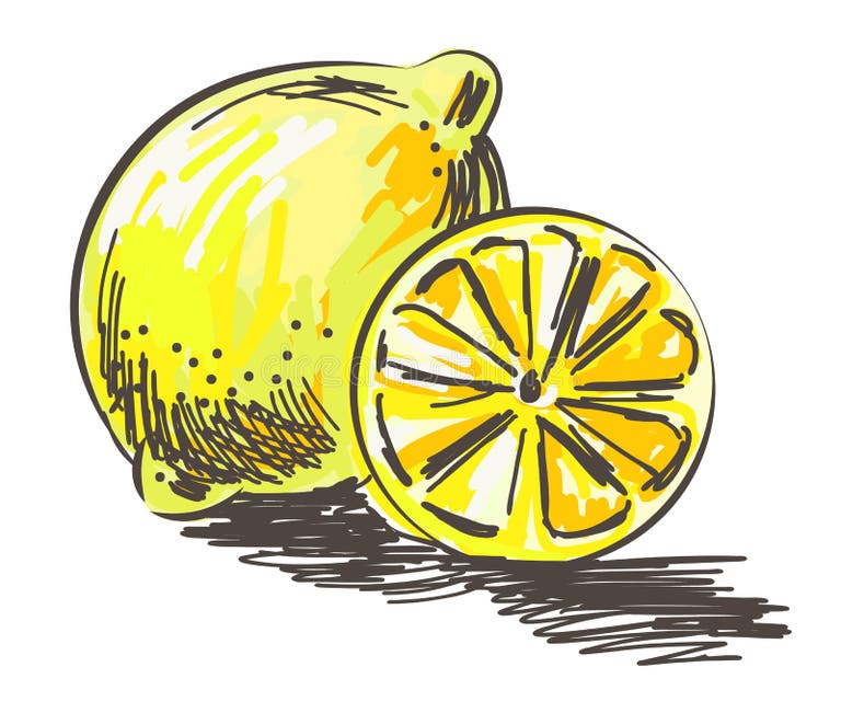 Cartoon Lemon Slice Stock Illustrations – 17,884 Cartoon Lemon Slice ...