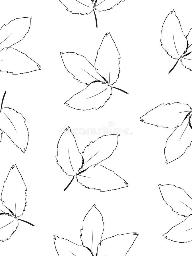 Doodle Drawing Style Image of Black and White Beech Leaf Seamless ...