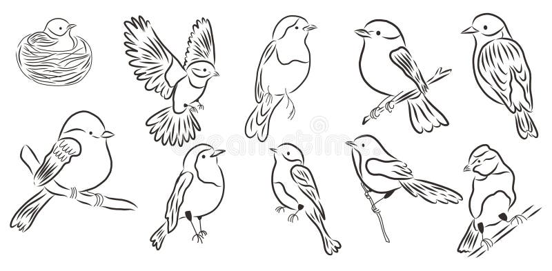 Doodle Elegant Spring Birds Set. Hand Drawn Vector Design. Stock Vector ...