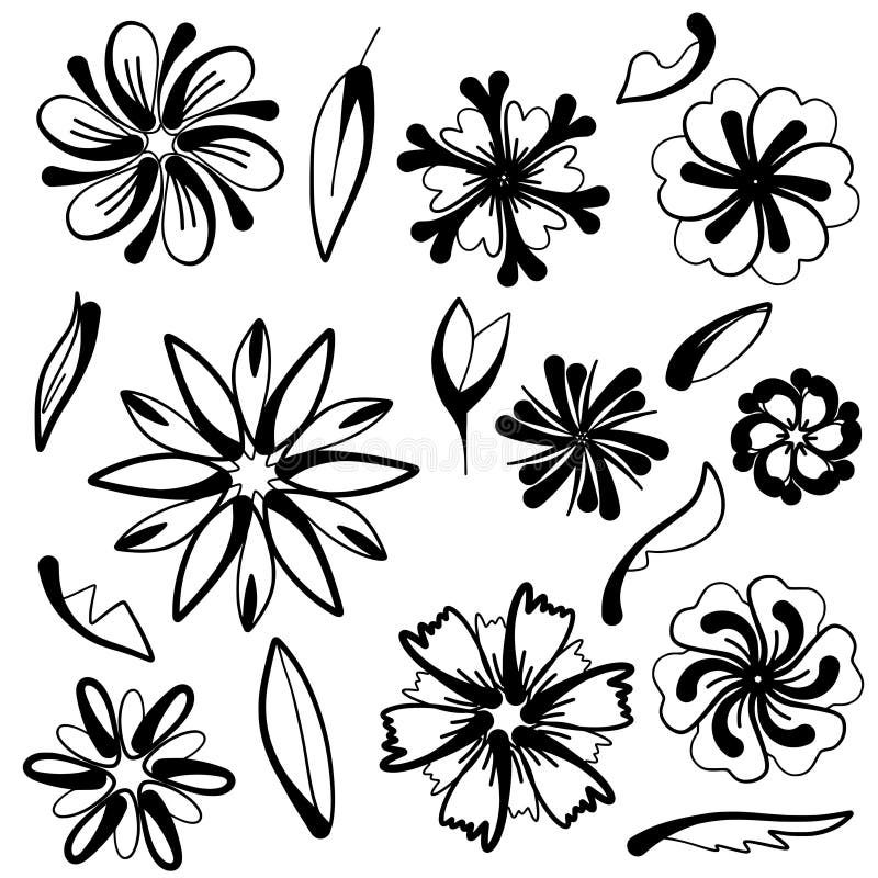 Flower Calligraphic Vintage Royal Design Elements Stock Vector ... Flower Calligraphic Vintage Royal Design Elements Stock Vector ...