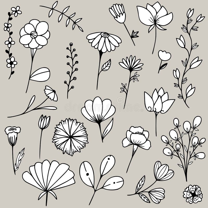 Doodle Flower and Leaves Vector Design Elements Collection Set Stock ...