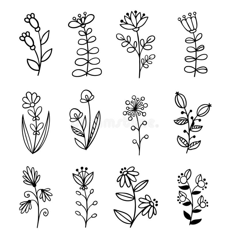 Doodle of Flower Hand Drawing Sketch Vector Stock Vector - Illustration ...