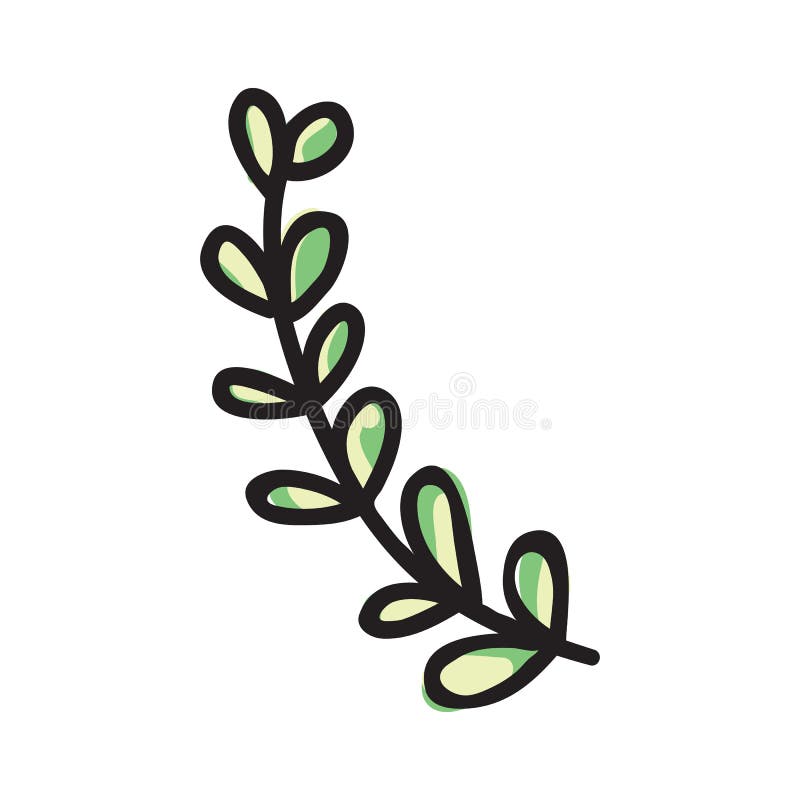 Doodle Green Olive Branch with Leaves Stock Vector - Illustration of ...