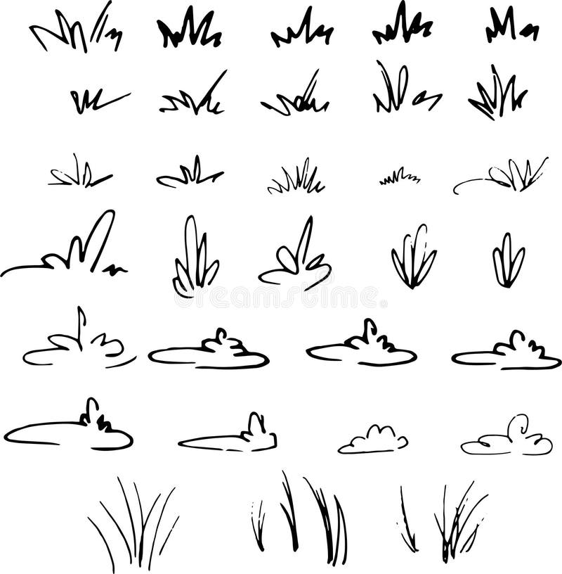Doodle hand drawing grass stock vector. Illustration of design - 241771651