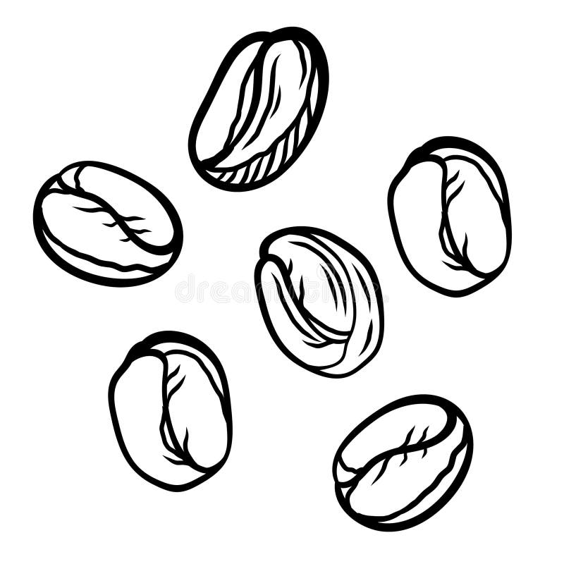 Doodle Hand Drawn Coffee Beans. Coffee Seeds Vector Clip Art Stock ...