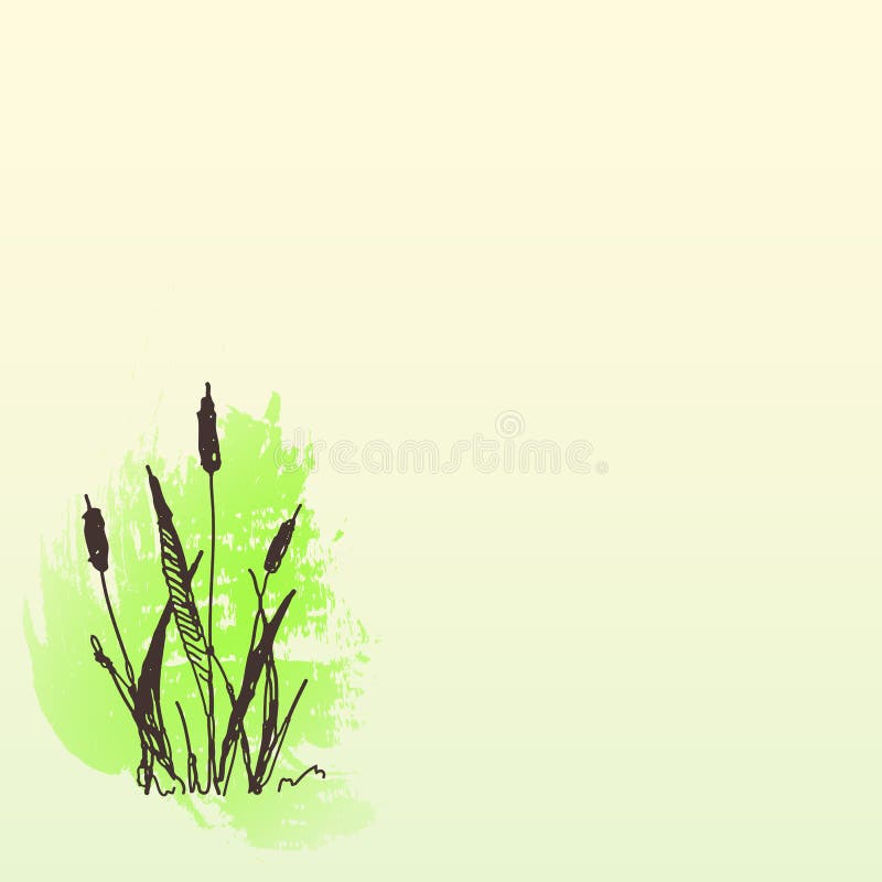 Doodle Hand Drawn Flower, Watercolor Background. Reed Stock Vector ...